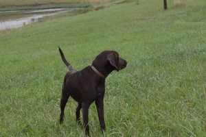 Lab-GSP Mix